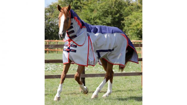 Best waterproof fly rugs for horses | Horse & Hound