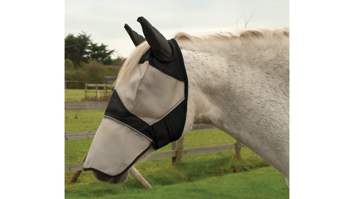 Best fly masks for horses in a range of designs | Horse & Hound