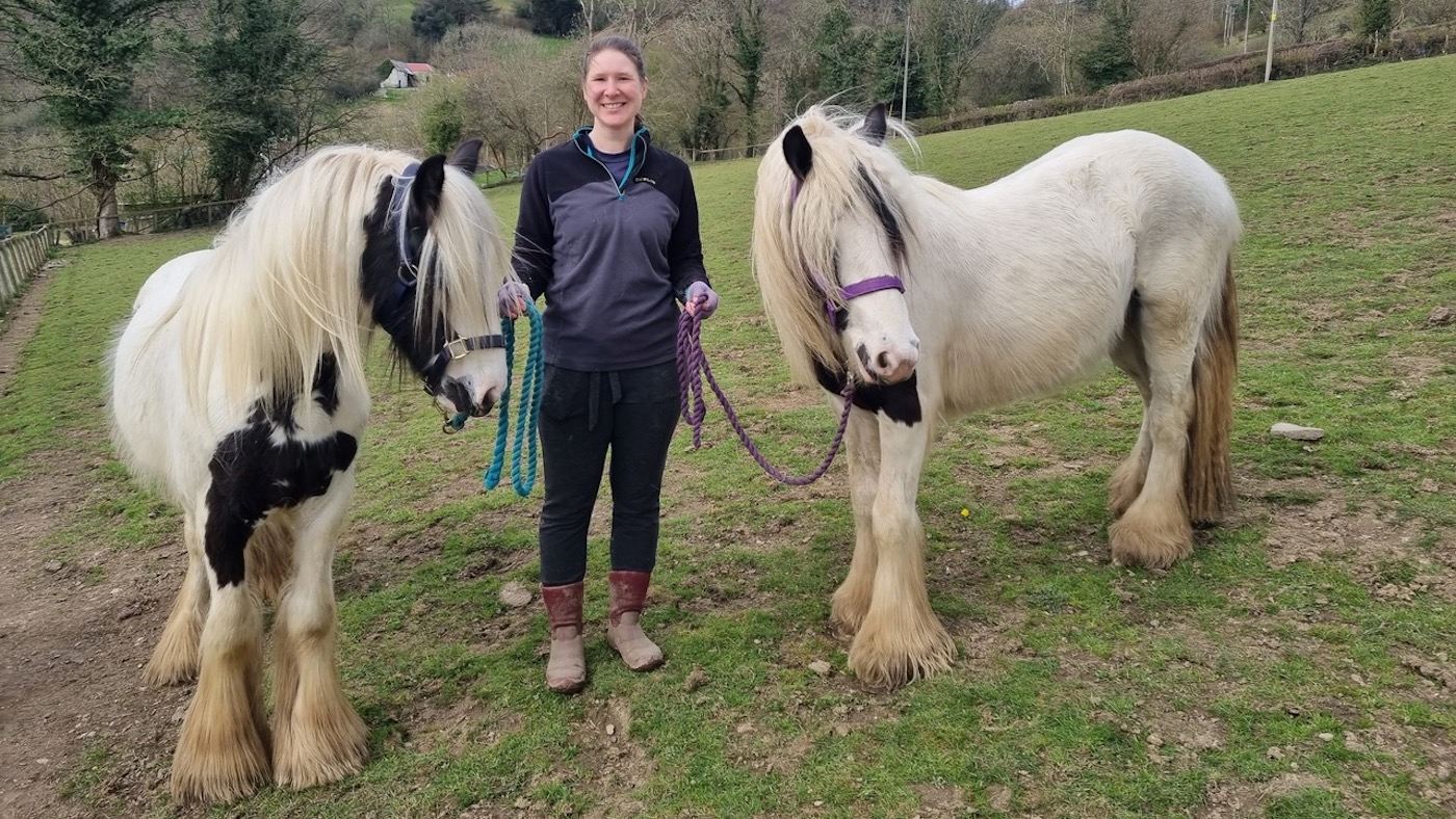 Wellingborough rescue ponies find new homes - Horse & Hound