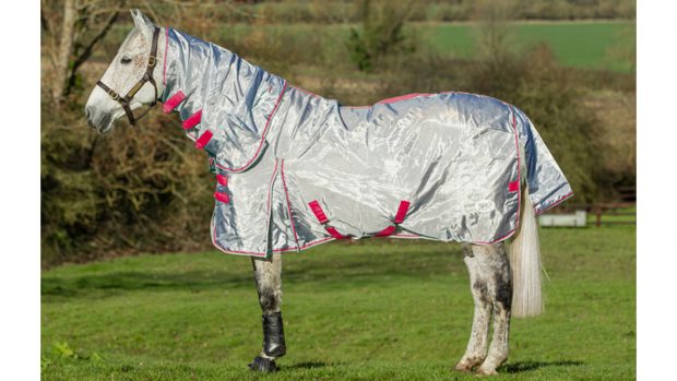 Best fly rugs for horses: find the best protection | Horse & Hound