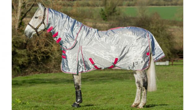 Best fly rugs for horses: find the best protection | Horse & Hound