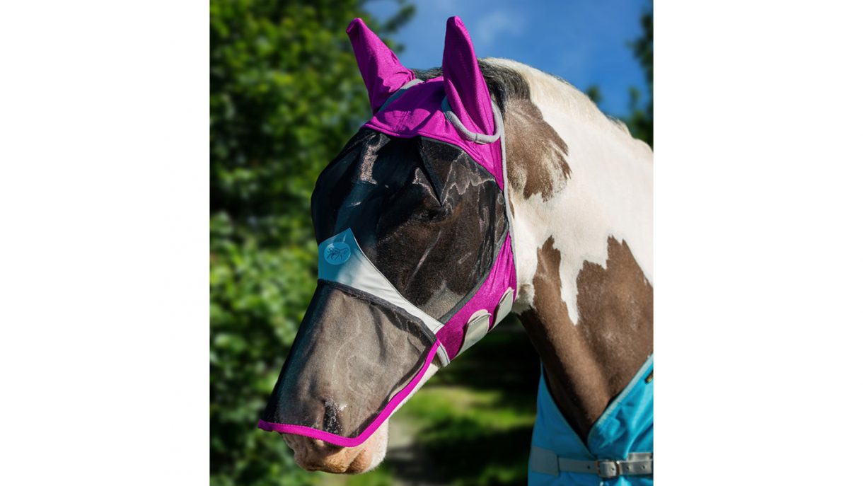 Best fly masks for horses in a range of designs | Horse & Hound