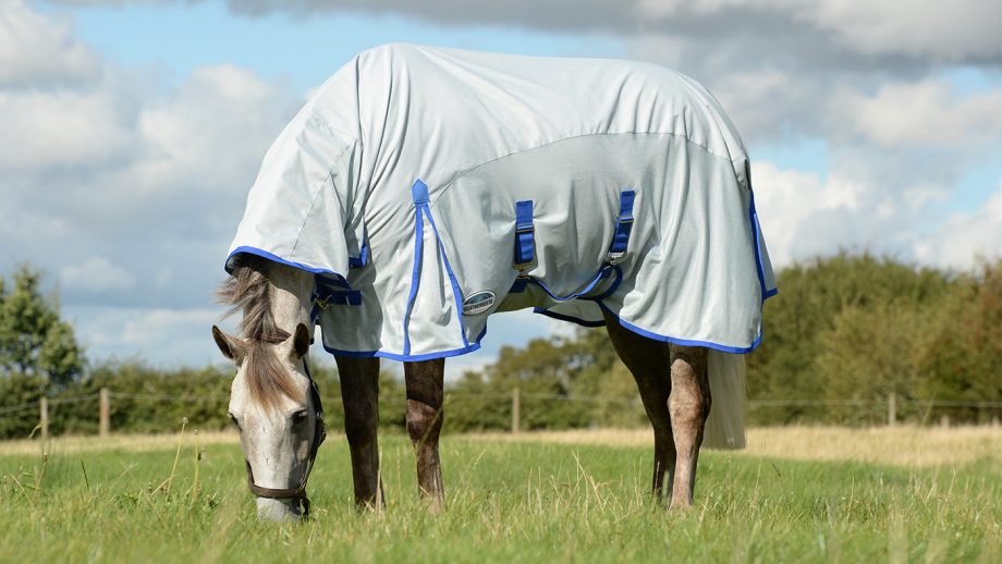 Best waterproof fly rugs for horses | Horse & Hound