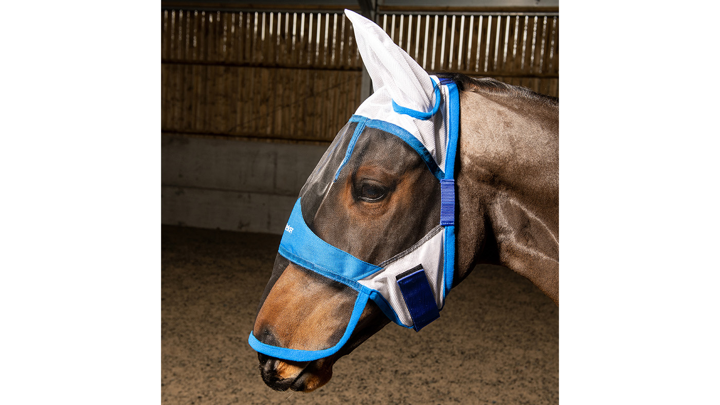 Best fly masks for horses in a range of designs | Horse & Hound