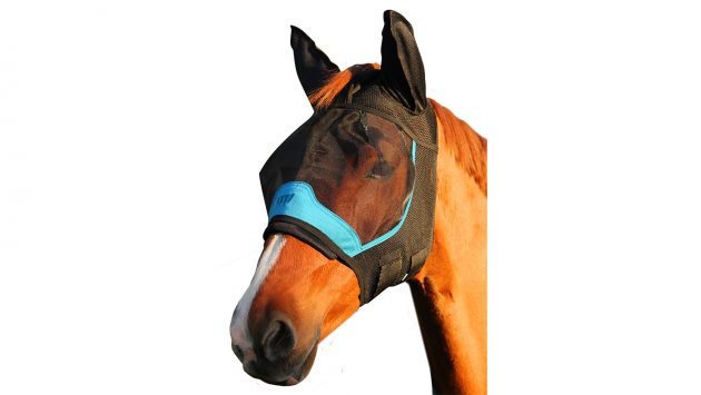 Best fly masks for horses in a range of designs | Horse & Hound