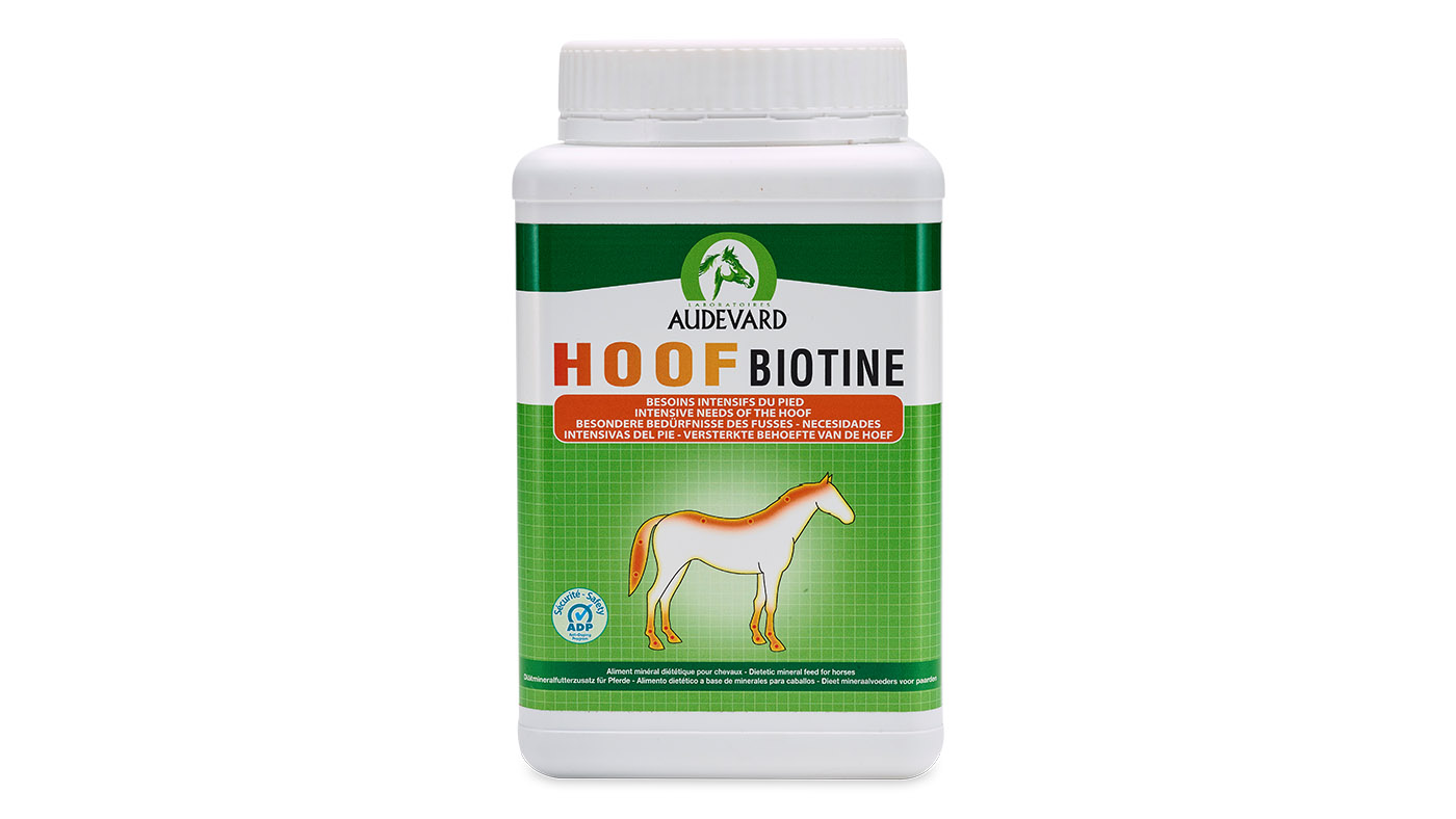 Hoof supplements for horses: what’s on the market? | Horse & Hound