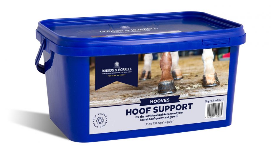 Best hoof supplements for horses: what’s on the market? | Horse & Hound