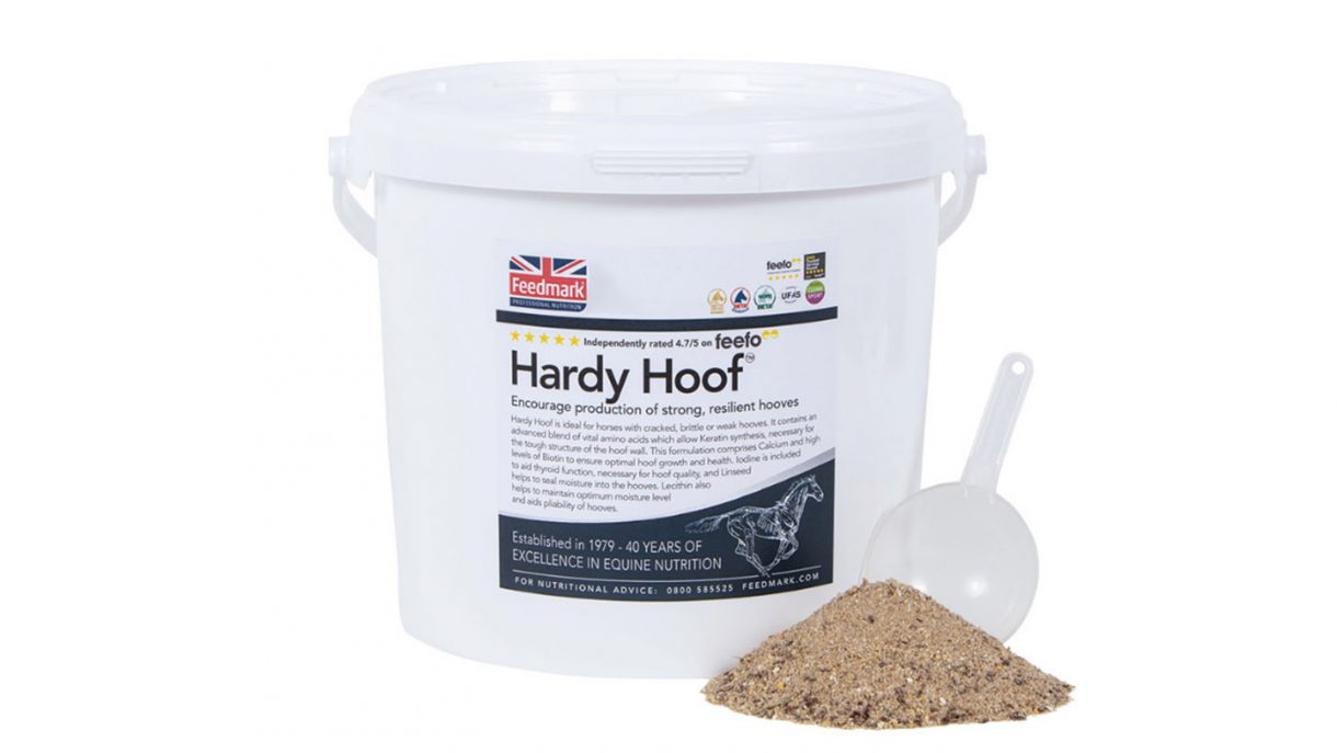 Hoof supplements for horses: what’s on the market? | Horse & Hound