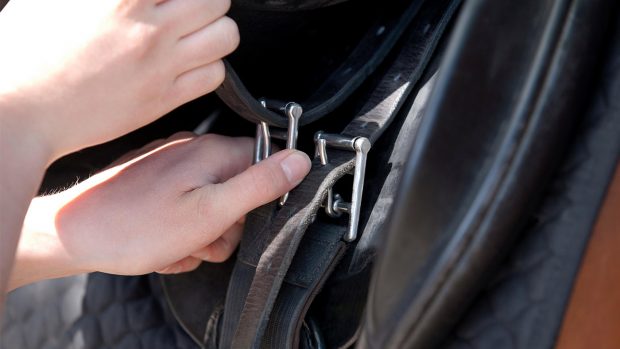 Best short dressage girths for comfort and movement | Horse & Hound