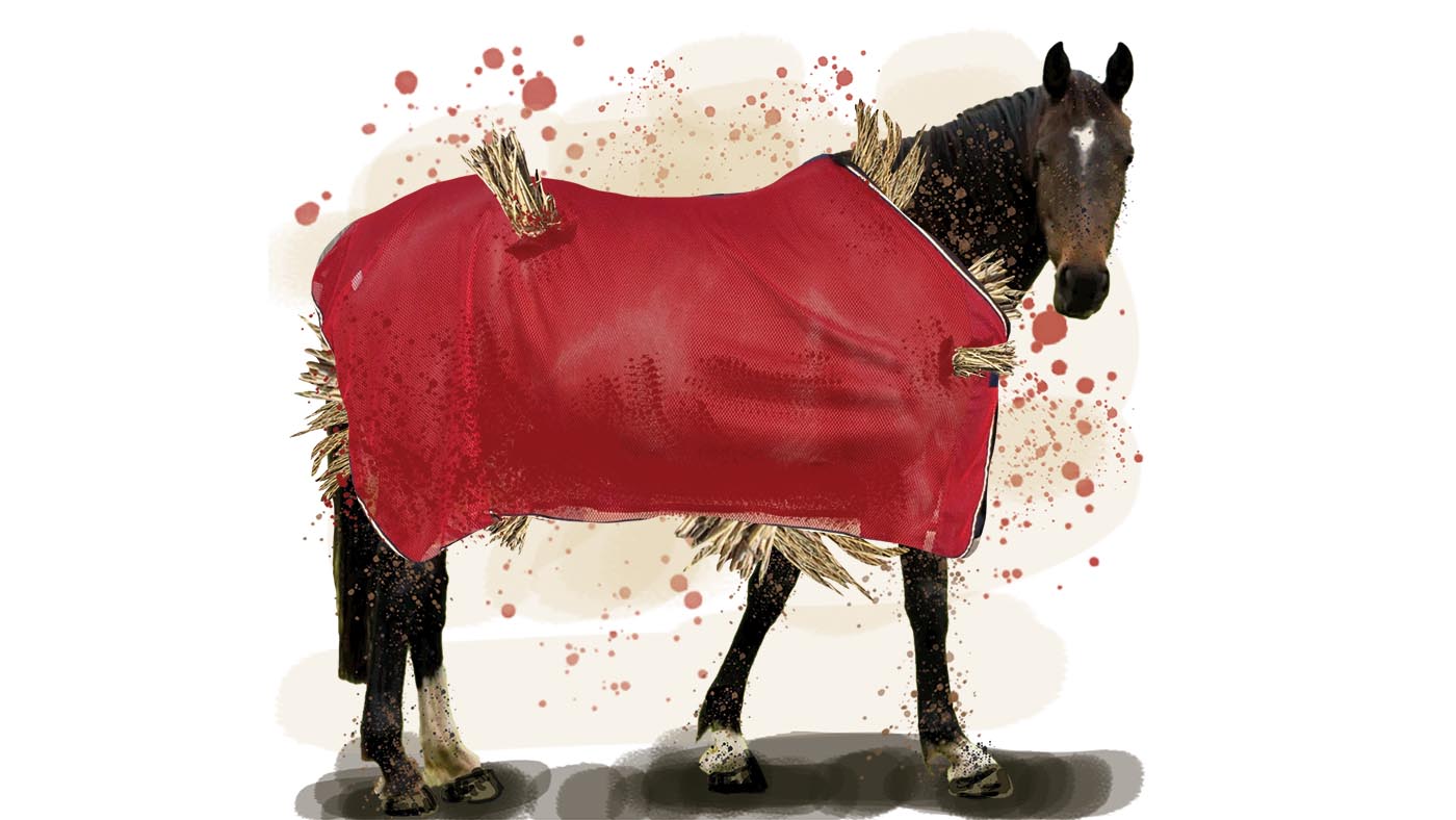 Ye olde tackroom: horsey items to take you on a trip down memory lane ...