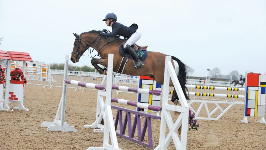 Squibb is on flying form at Pony of the Year Show: ‘When he’s happy, he ...