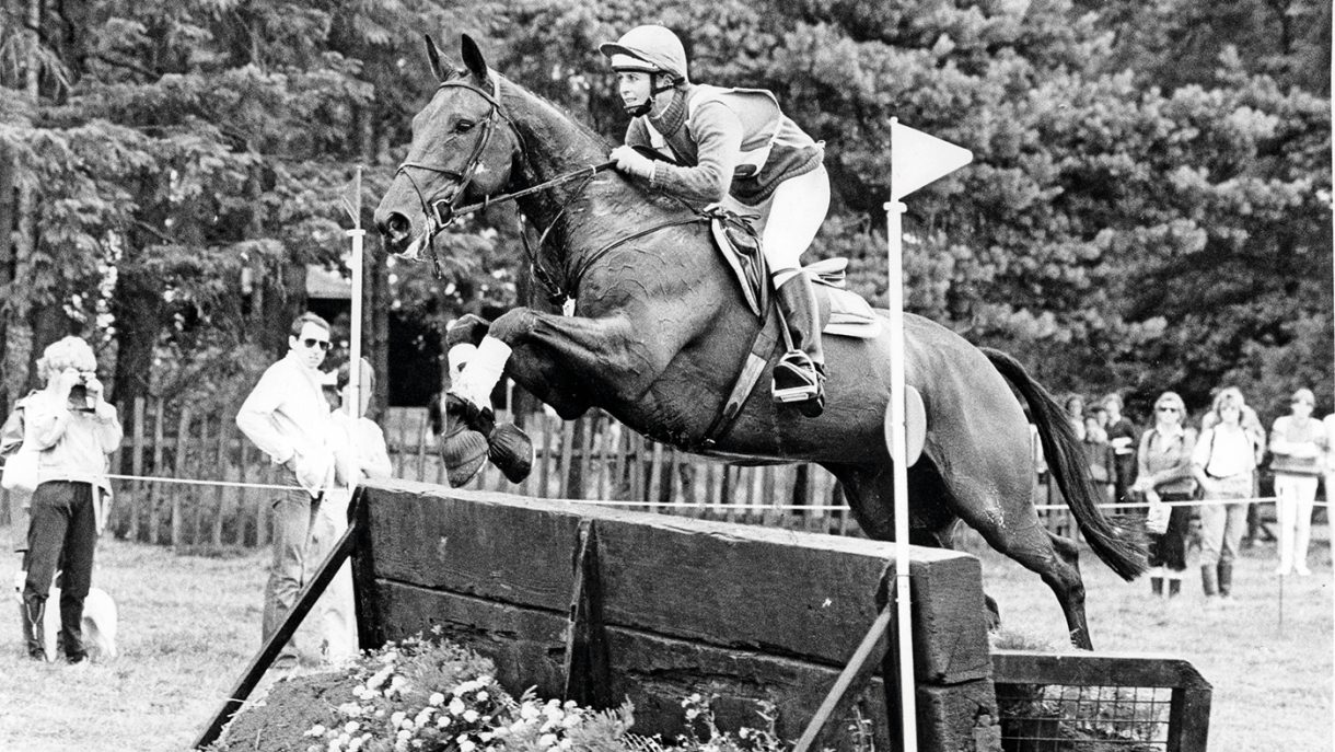 15 famous horses in history – and their incredible stories