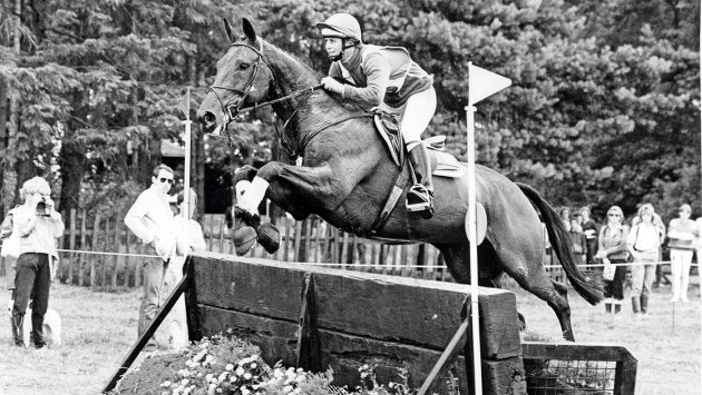 15 famous horses in history – and their incredible stories