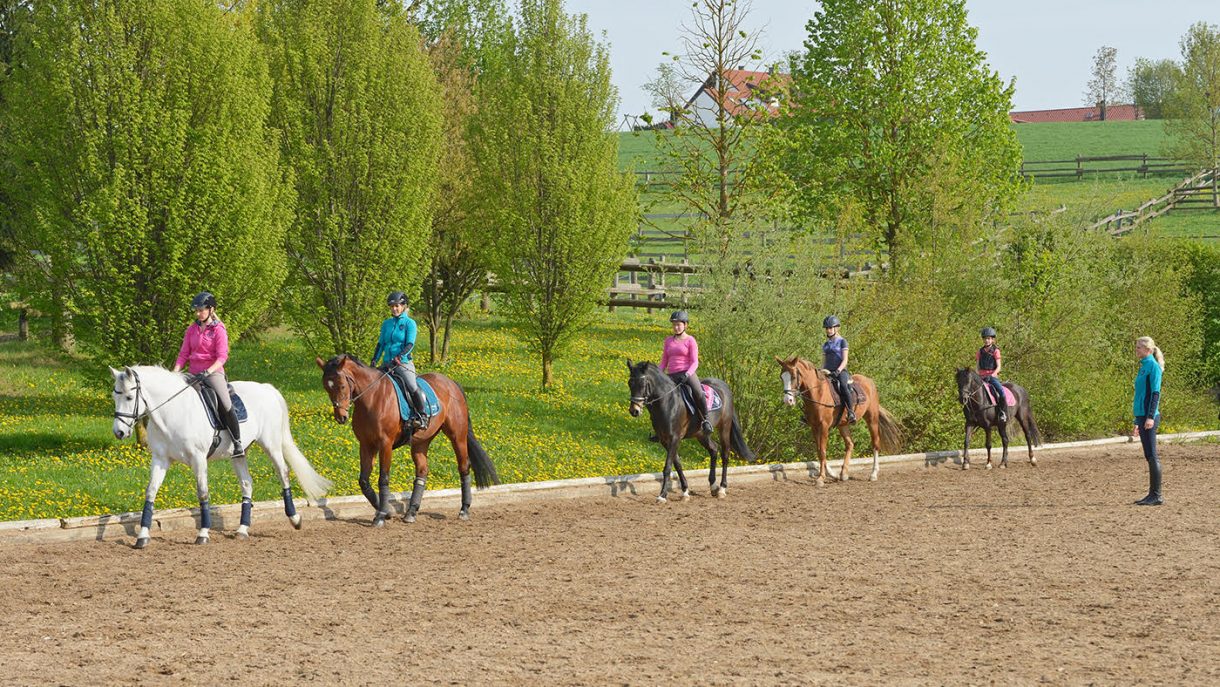 Horse riding tips for beginners who want to feel like a pro | Horse & Hound