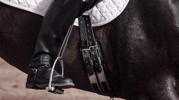 7 tips for fitting your horse’s girth correctly - Horse & Hound