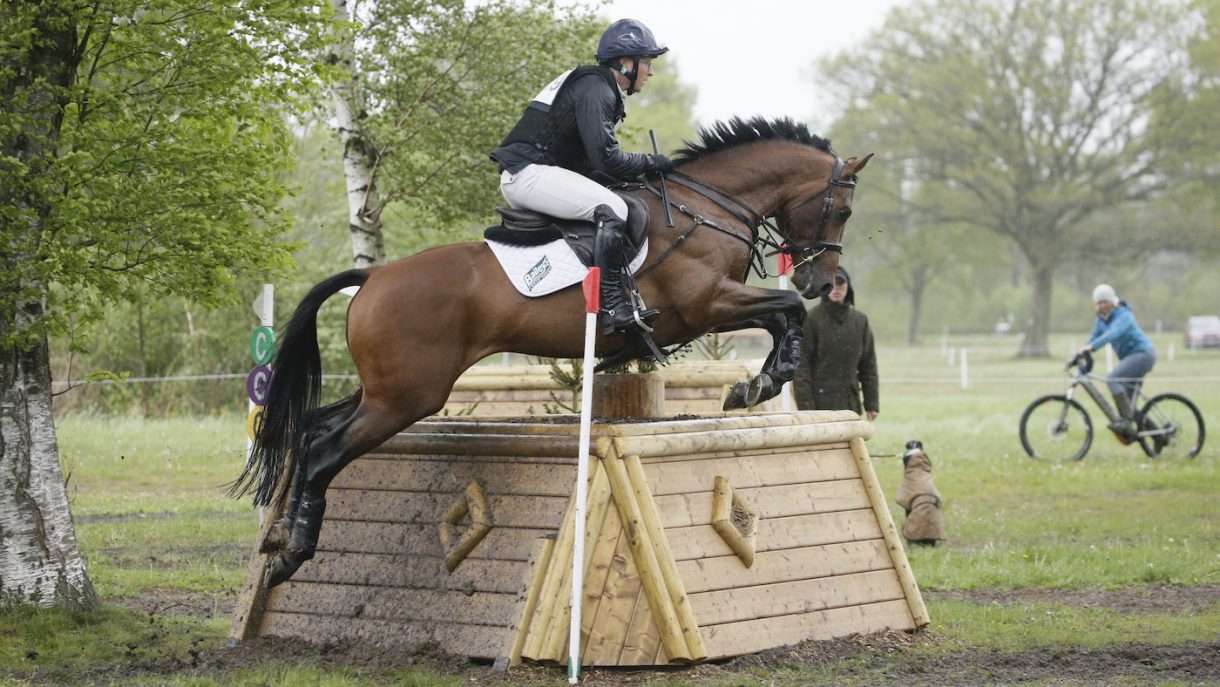 Tamarillo’s clone takes his first eventing win: connections feel he has ...