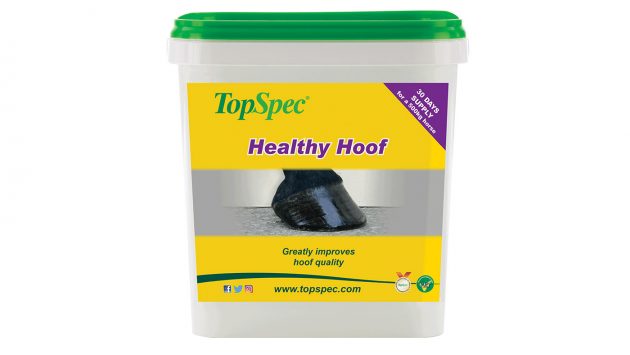 Best hoof supplements for horses: what’s on the market? | Horse & Hound