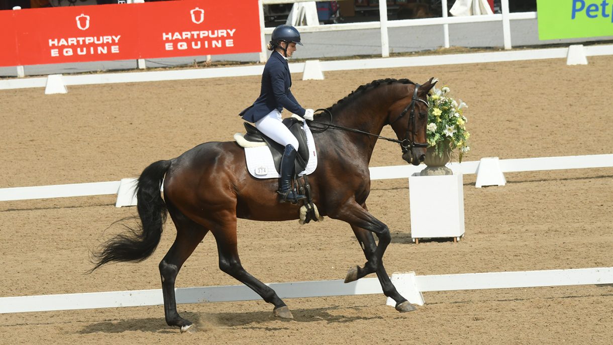 Judges - Horse & Hound