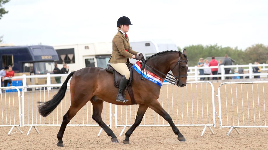 Sir Henry steps up at Midlands Counties *H&H Plus* - Horse & Hound