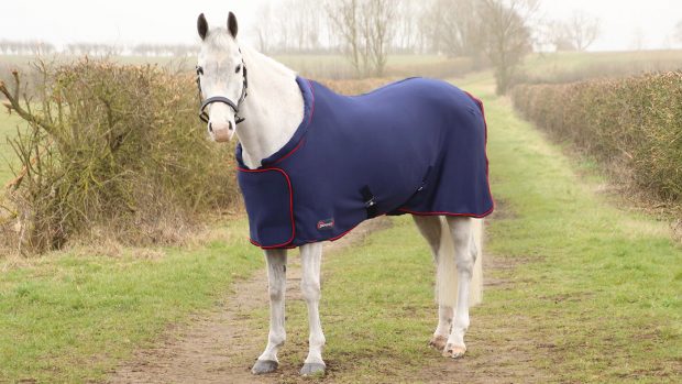 Best show rugs for horses, stable sheets and fleeces | Horse & Hound
