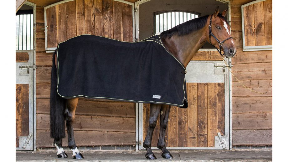 Best show rugs, stable sheets and fleeces for show day | Horse & Hound