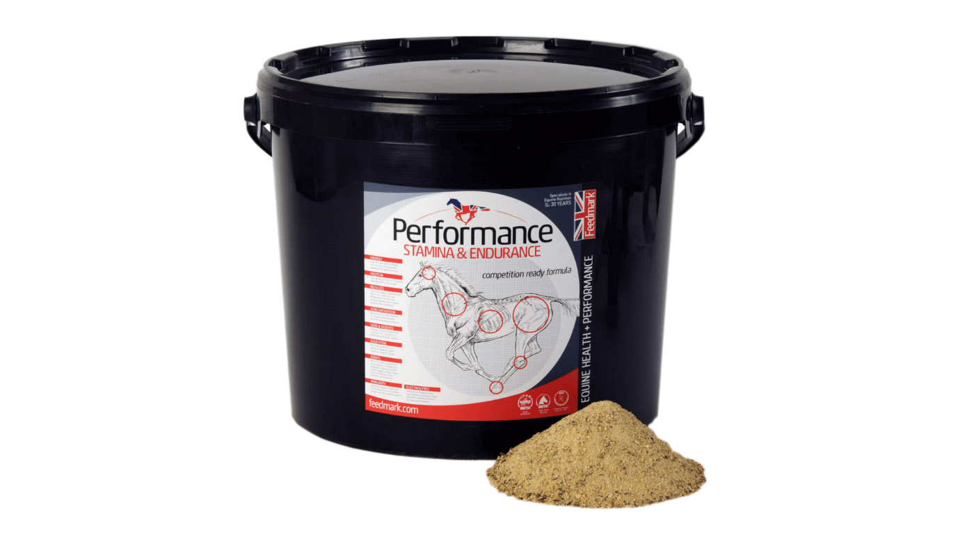 Performance supplements for horses: what’s available? | Horse & Hound