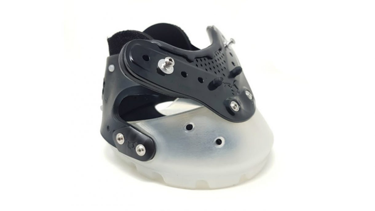 Best hoof boots for riding barefoot horses | Horse & Hound