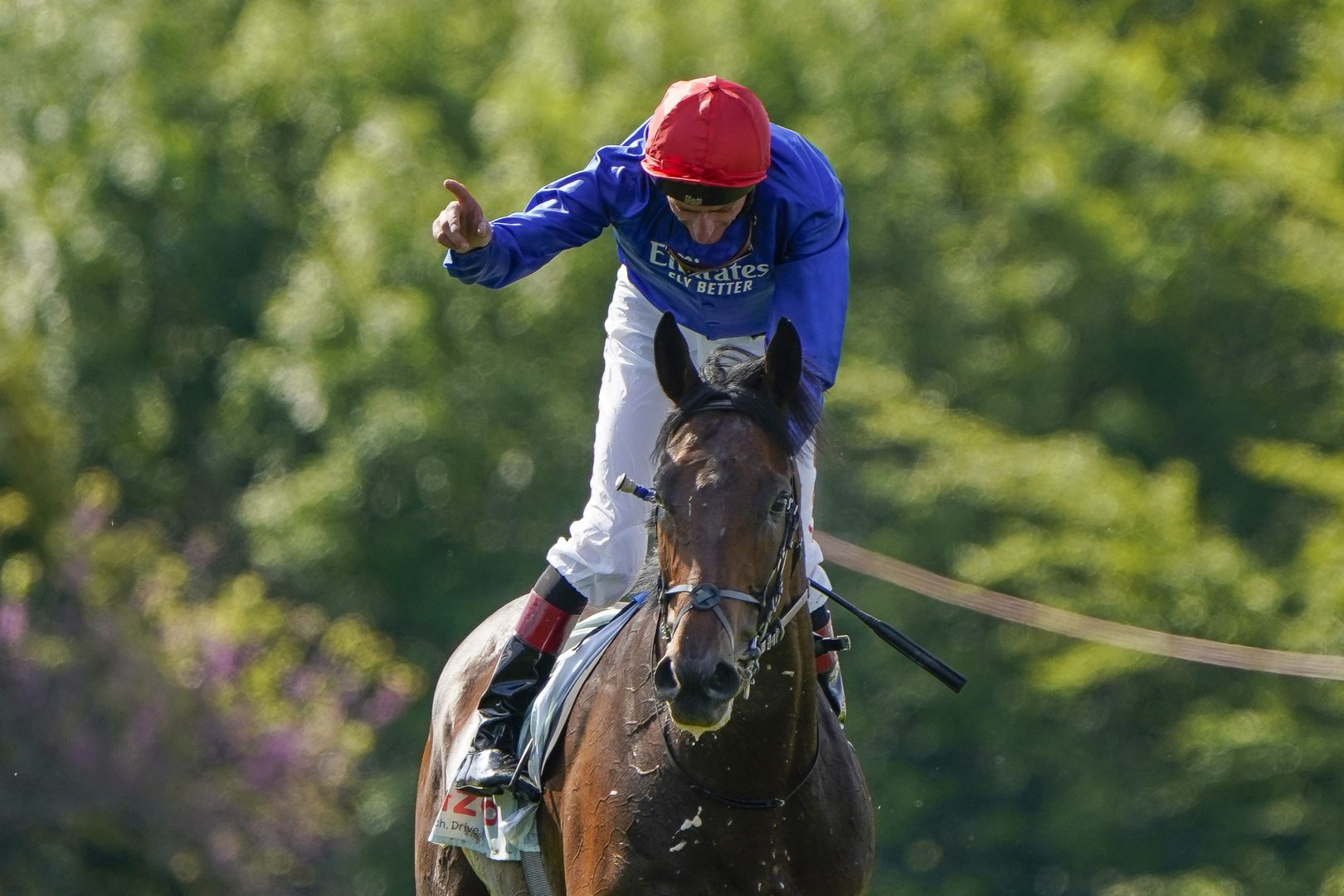 Epsom Derby 2021 winner — your full report | Horse & Hound