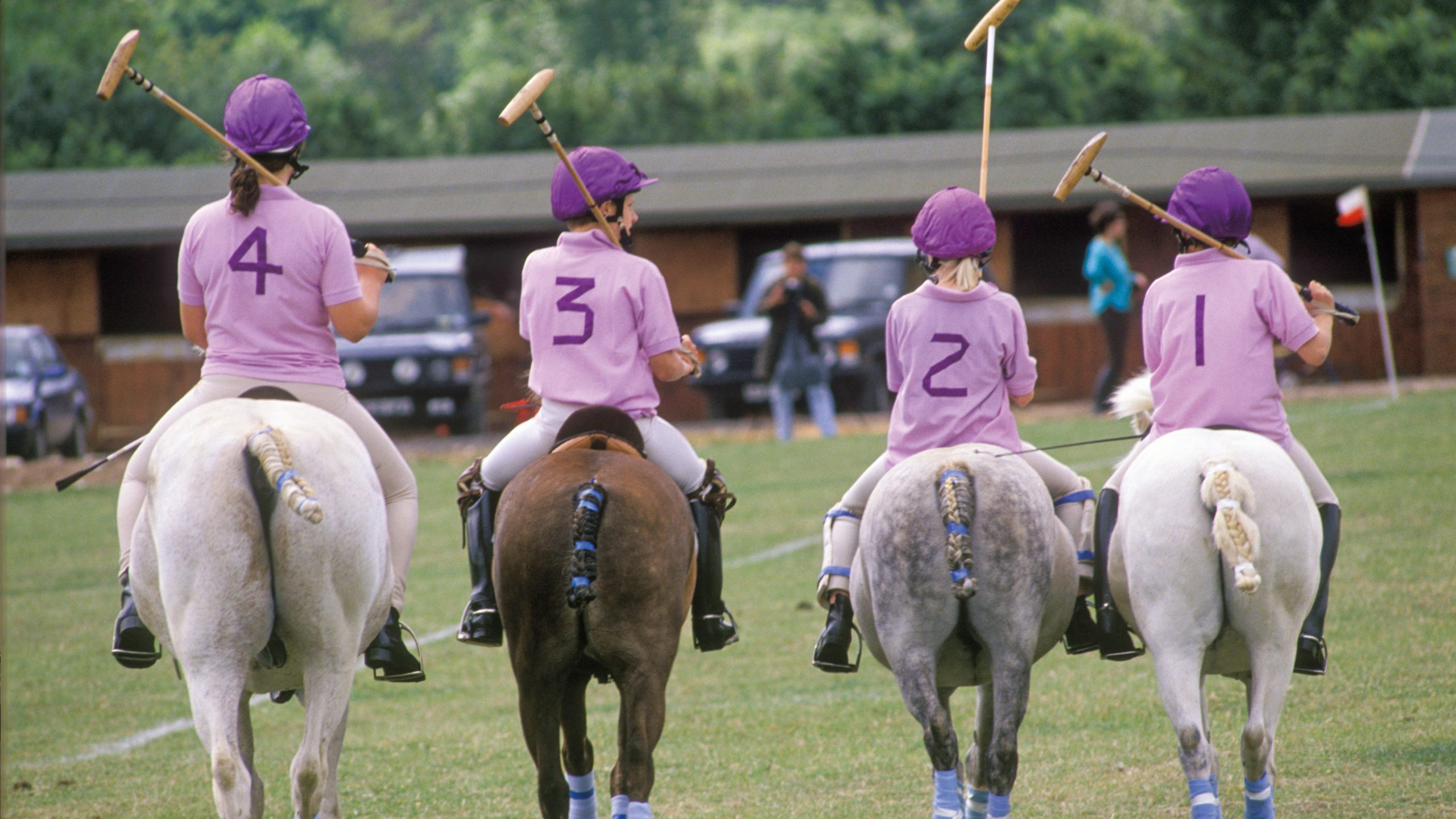 The childhood dream: how to make the most of your days with ponies *H&H ...