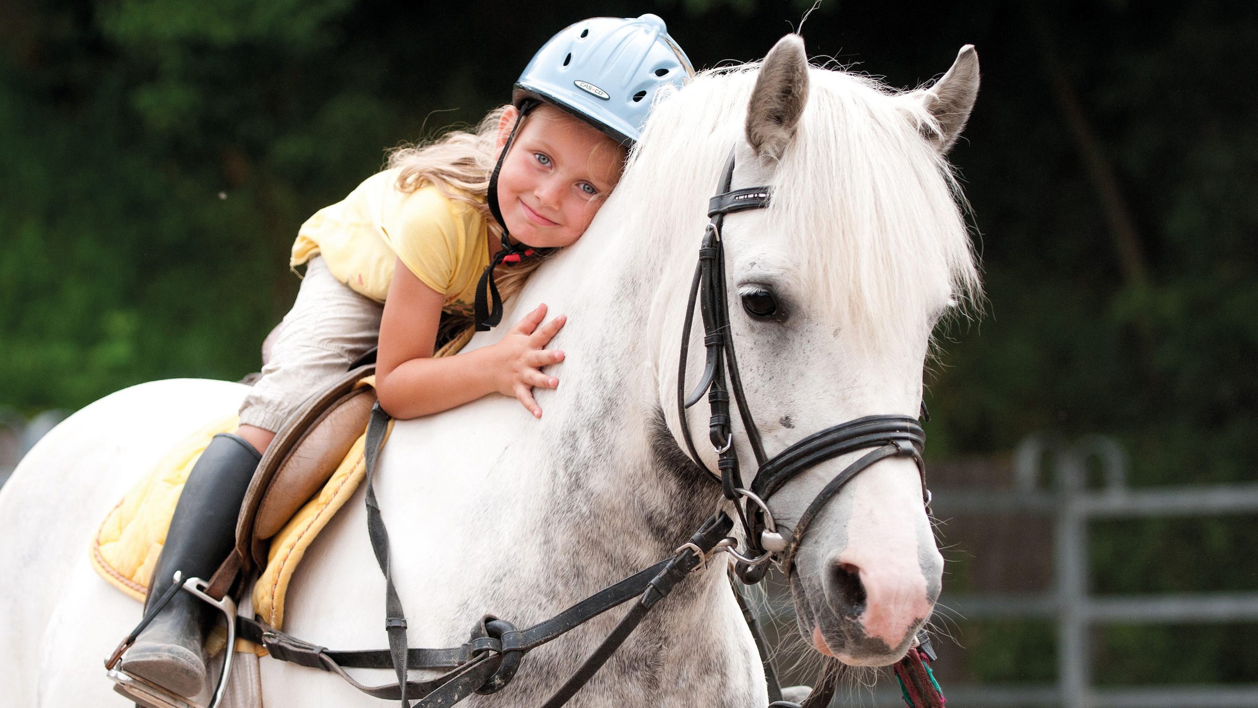The childhood dream: how to make the most of your days with ponies *H&H ...