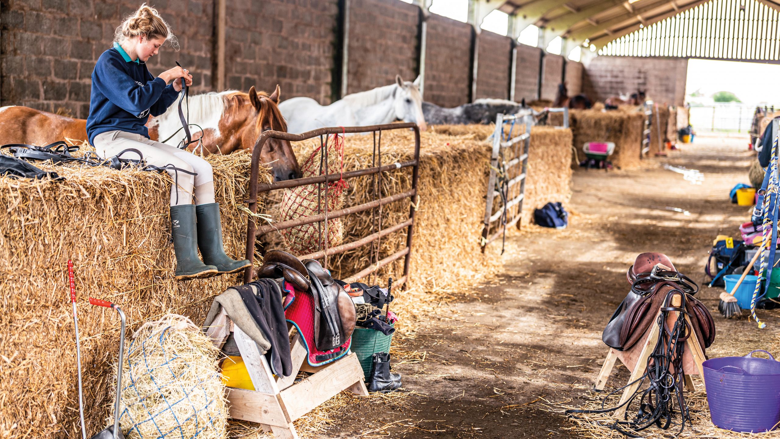 The childhood dream: how to make the most of your days with ponies *H&H ...