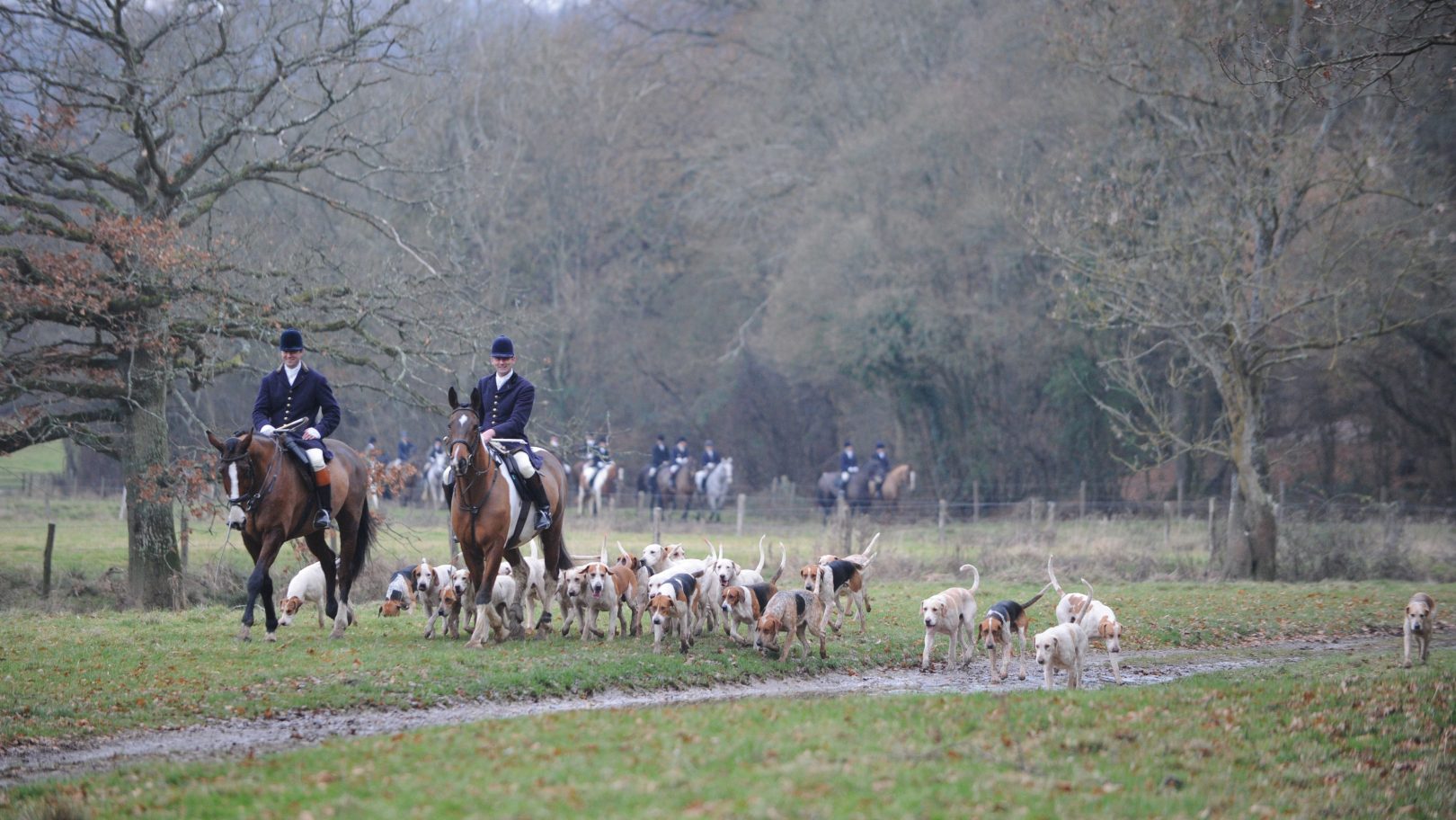 Coats of many colours: the history of hunt liveries *H&H Plus* - Horse ...