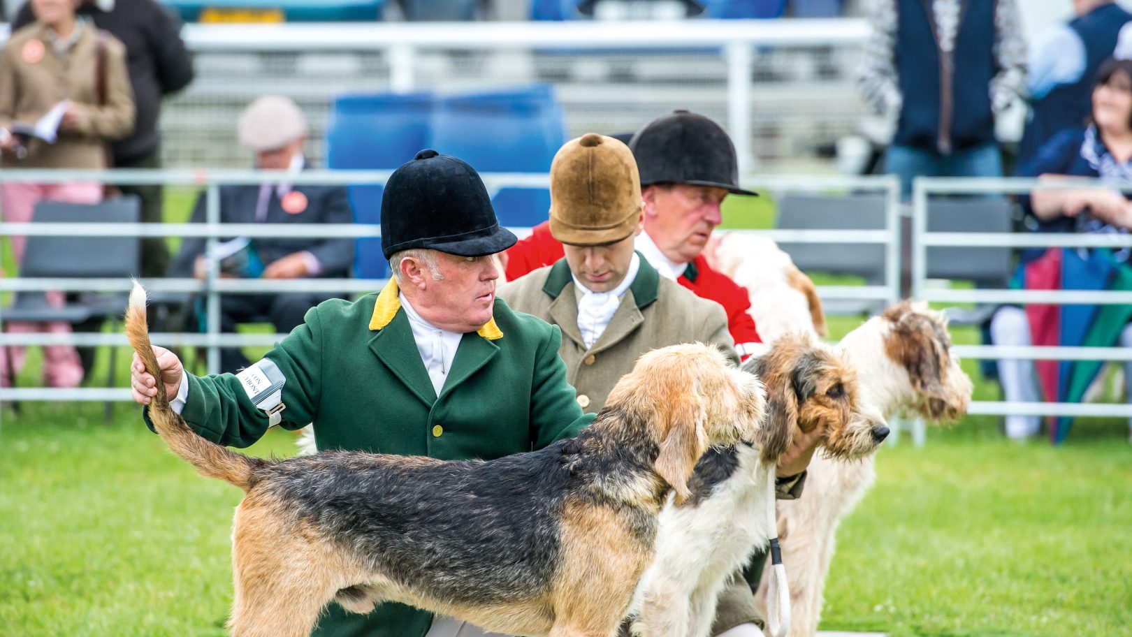 Coats of many colours: the history of hunt liveries *H&H Plus* - Horse ...