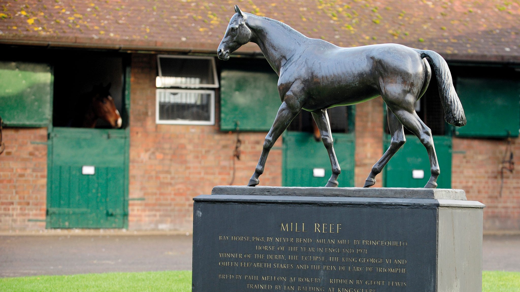 Mill Reef: the Derby winner ‘big of heart’ with an ’electric turn of foot’