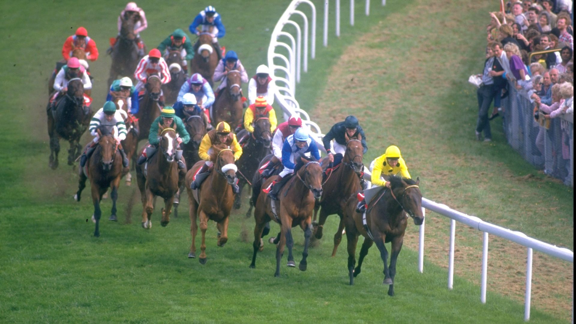 Mill Reef: the Derby winner ‘big of heart’ with an ’electric turn of foot’