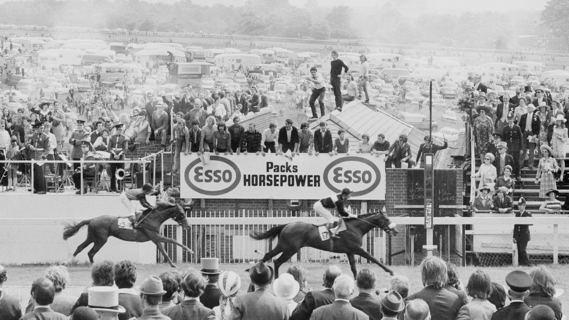 Mill Reef: the Derby winner ‘big of heart’ with an ’electric turn of foot’