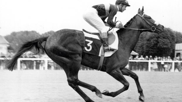 Mill Reef: the Derby winner ‘big of heart’ with an ’electric turn of foot’