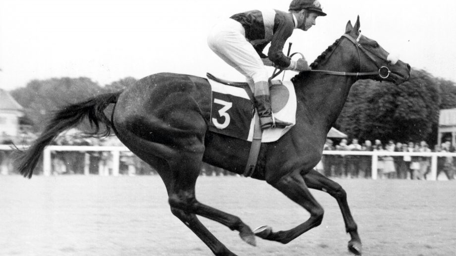 Mill Reef: the Derby winner ‘big of heart’ with an ’electric turn of foot’
