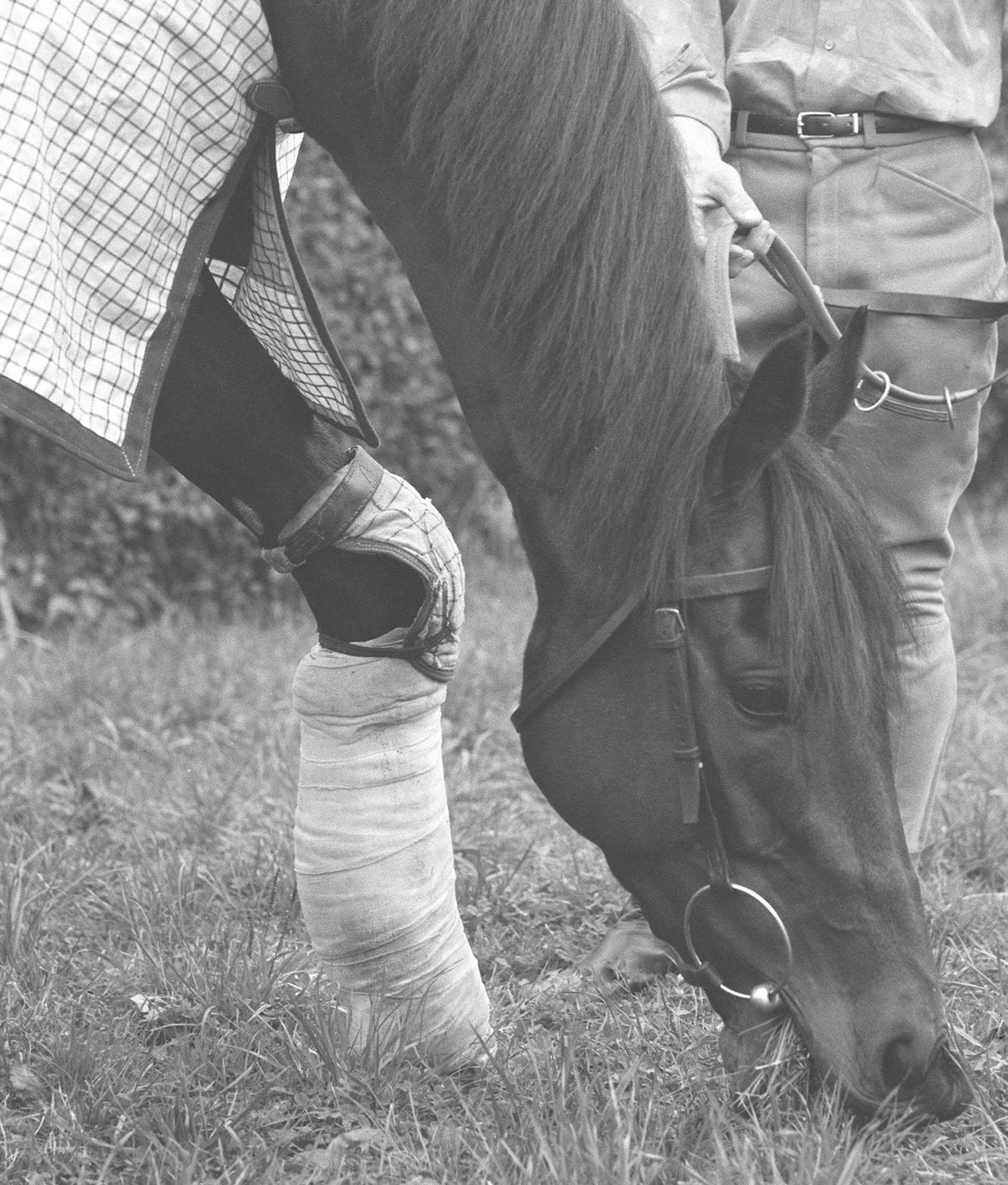 Mill Reef: the Derby winner ‘big of heart’ with an ’electric turn of foot’