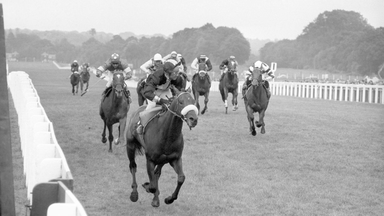 Mill Reef: the Derby winner ‘big of heart’ with an ’electric turn of foot’