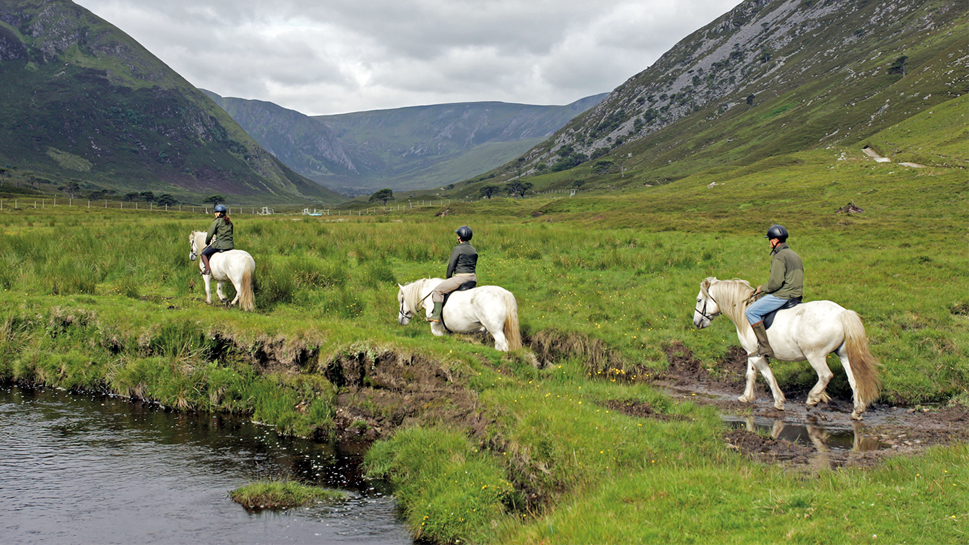 ‘There’s no better place’: why horse lovers should move to or visit ...