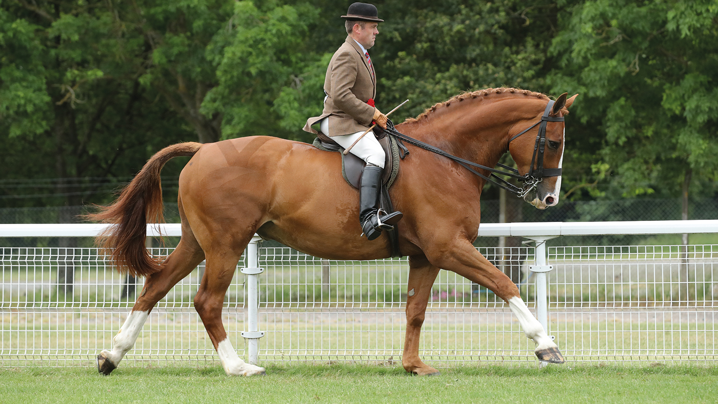 Glorious return for Oliver at Three Counties following a freak road ...