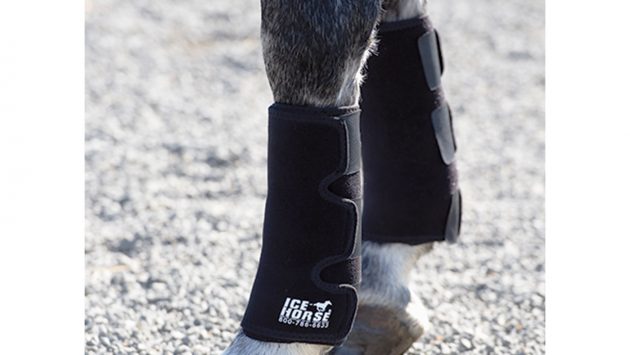 Best ice boots for horses – and why you need them | Horse & Hound
