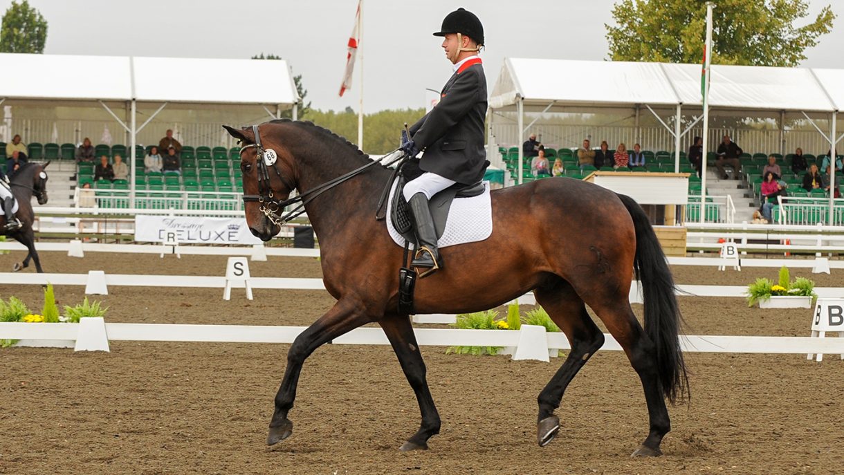 Lee Pearson: British gold medal-winning Paralympic dressage rider
