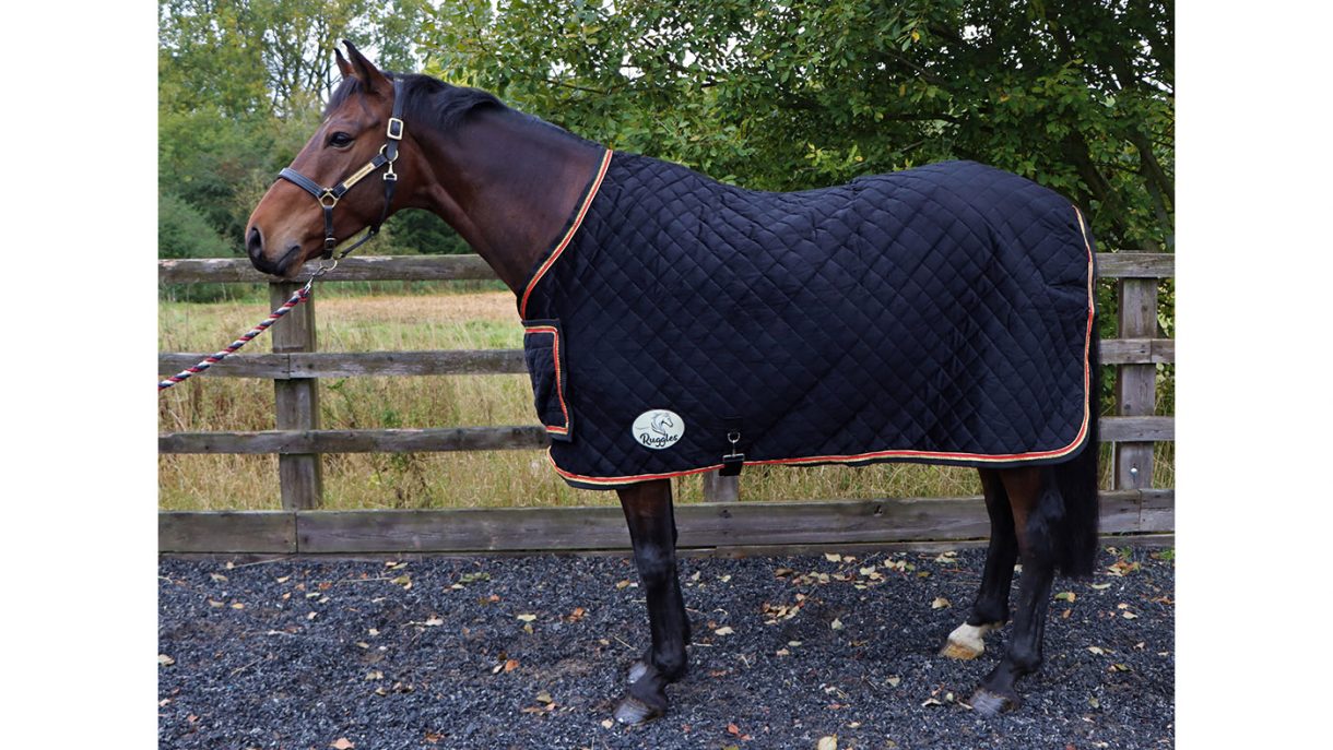 Best show rugs for horses, stable sheets and fleeces | Horse & Hound