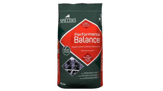 Feed balancers for horses – what are the options? | Horse & Hound