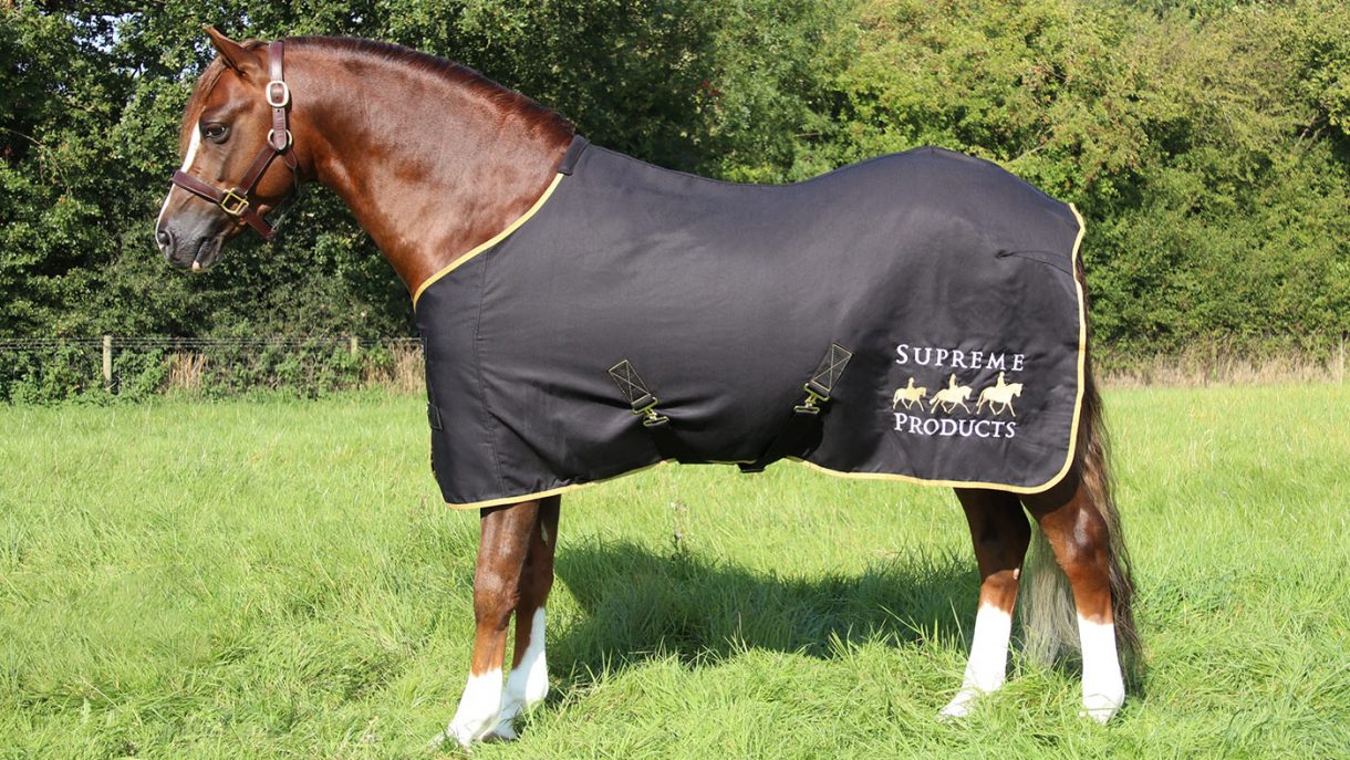 Best show rugs for horses, stable sheets and fleeces | Horse & Hound