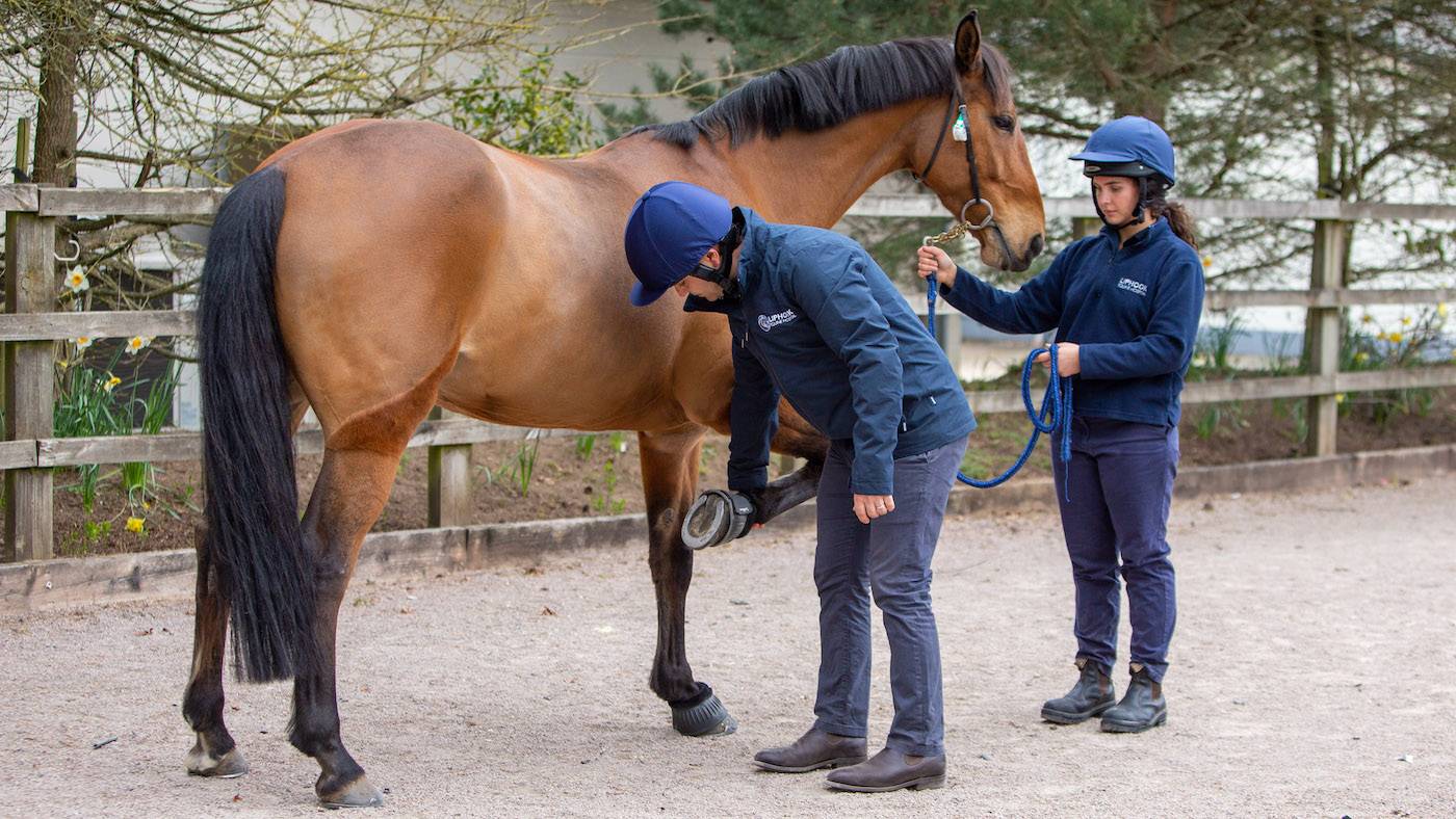 Hat hair, don’t care: vets urged to wear helmets for many equine ...