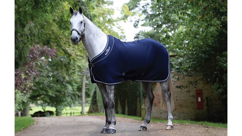 Best show rugs for horses, stable sheets and fleeces | Horse & Hound