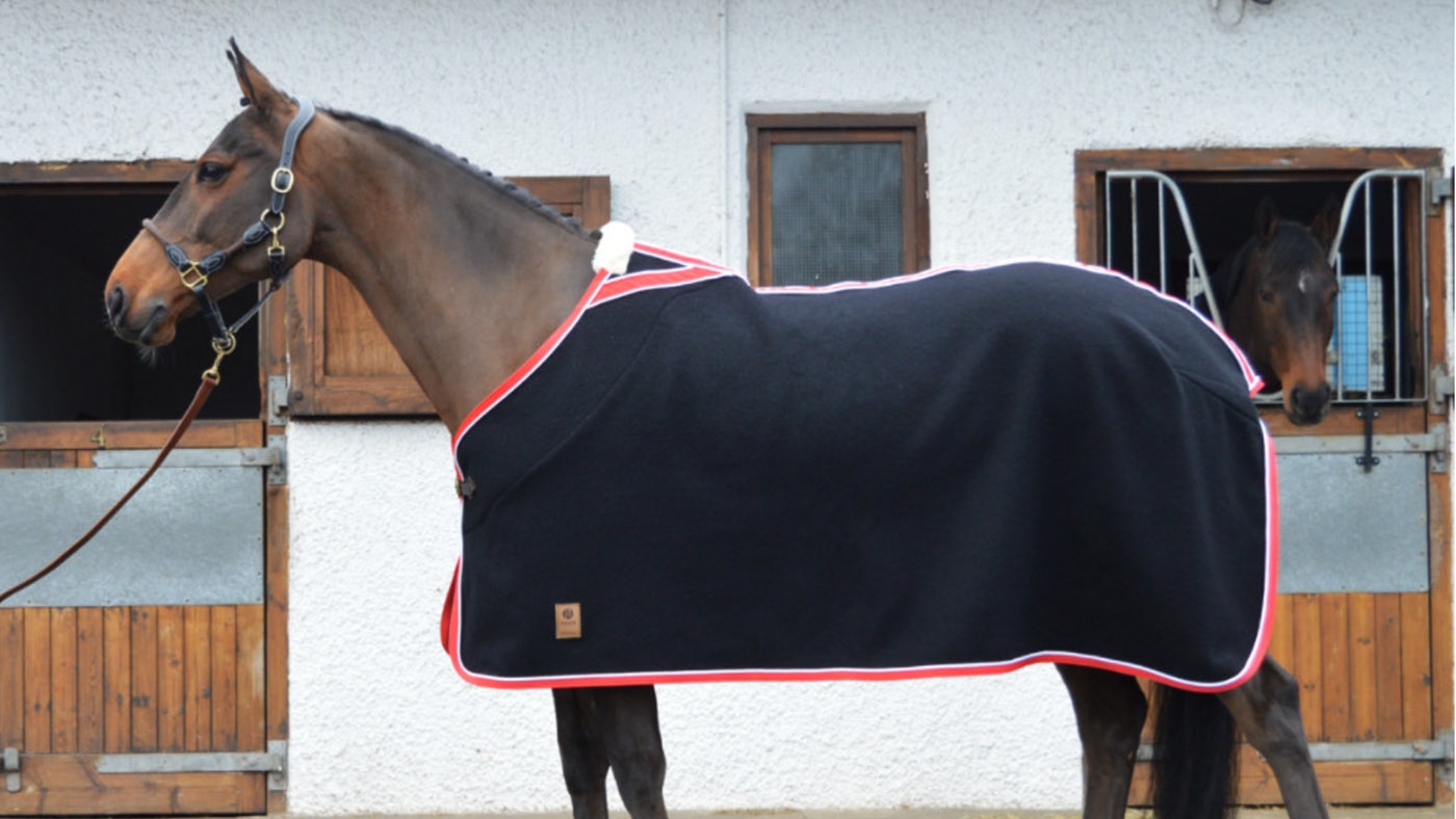 Best show rugs, stable sheets and fleeces for show day | Horse & Hound